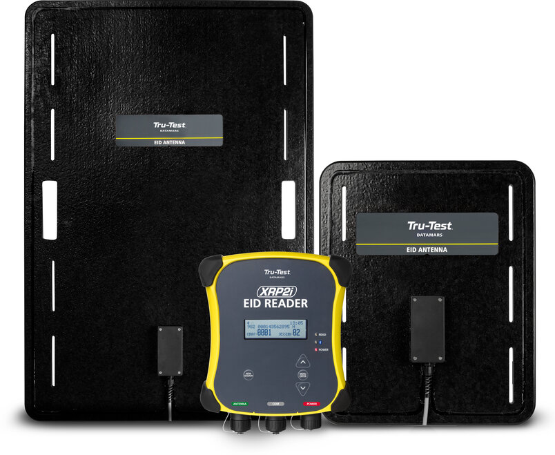 XRP2i Panel Reader with Antenna | Tru-Test Datamars